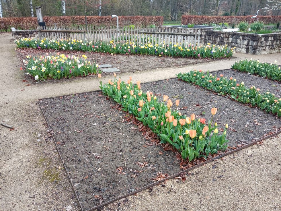 Es wird bunt im Garten Eden | Garten Eden Untermarchtal